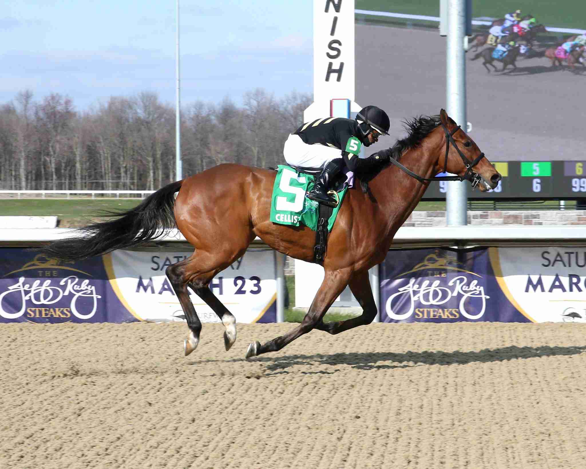 Notes & Quotes From the TwinSpires Kentucky Cup Classic: Cellist - The ...