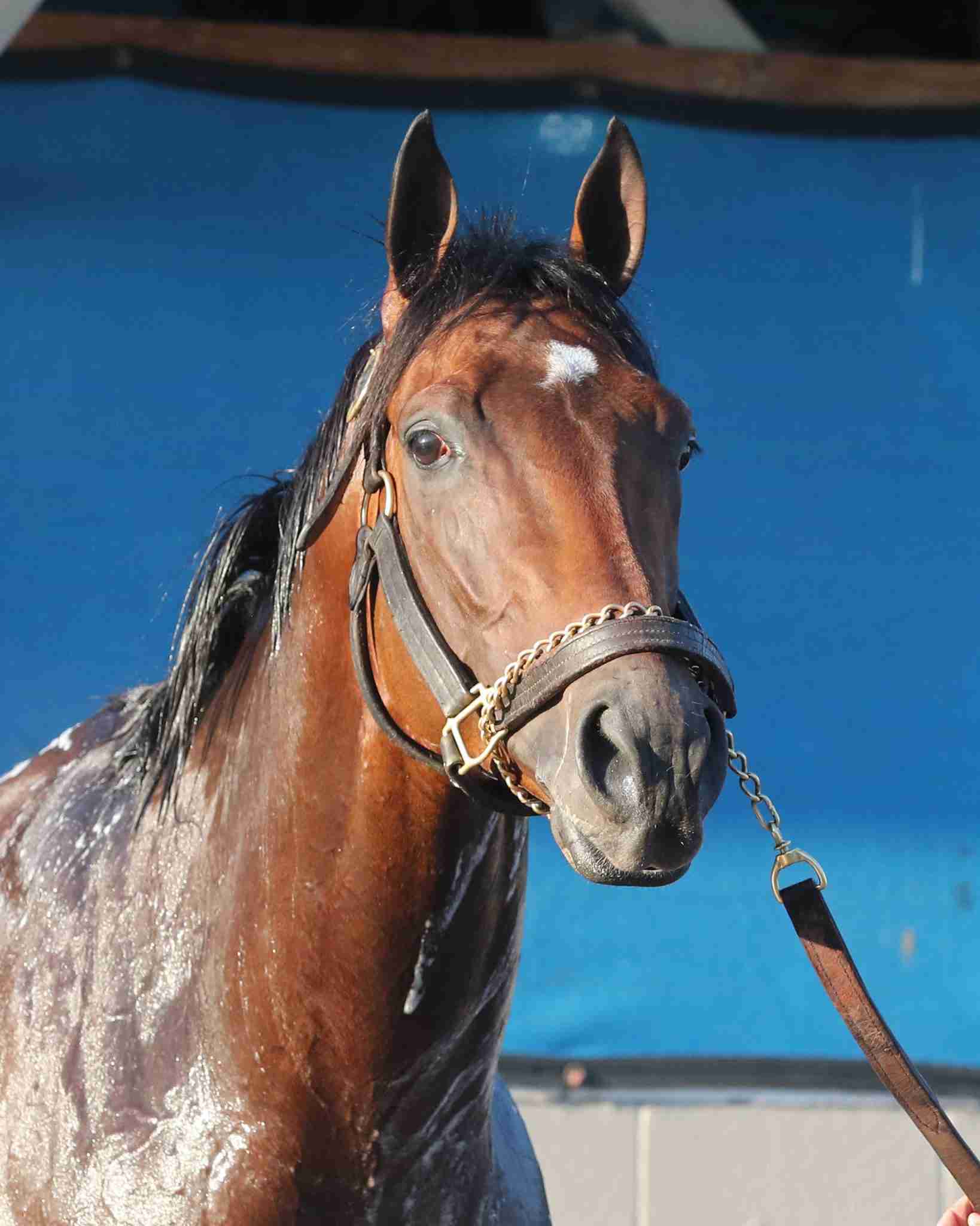 Catching Freedom - Morning - Churchill Downs - 04-24-24 - 05 - Renee ...