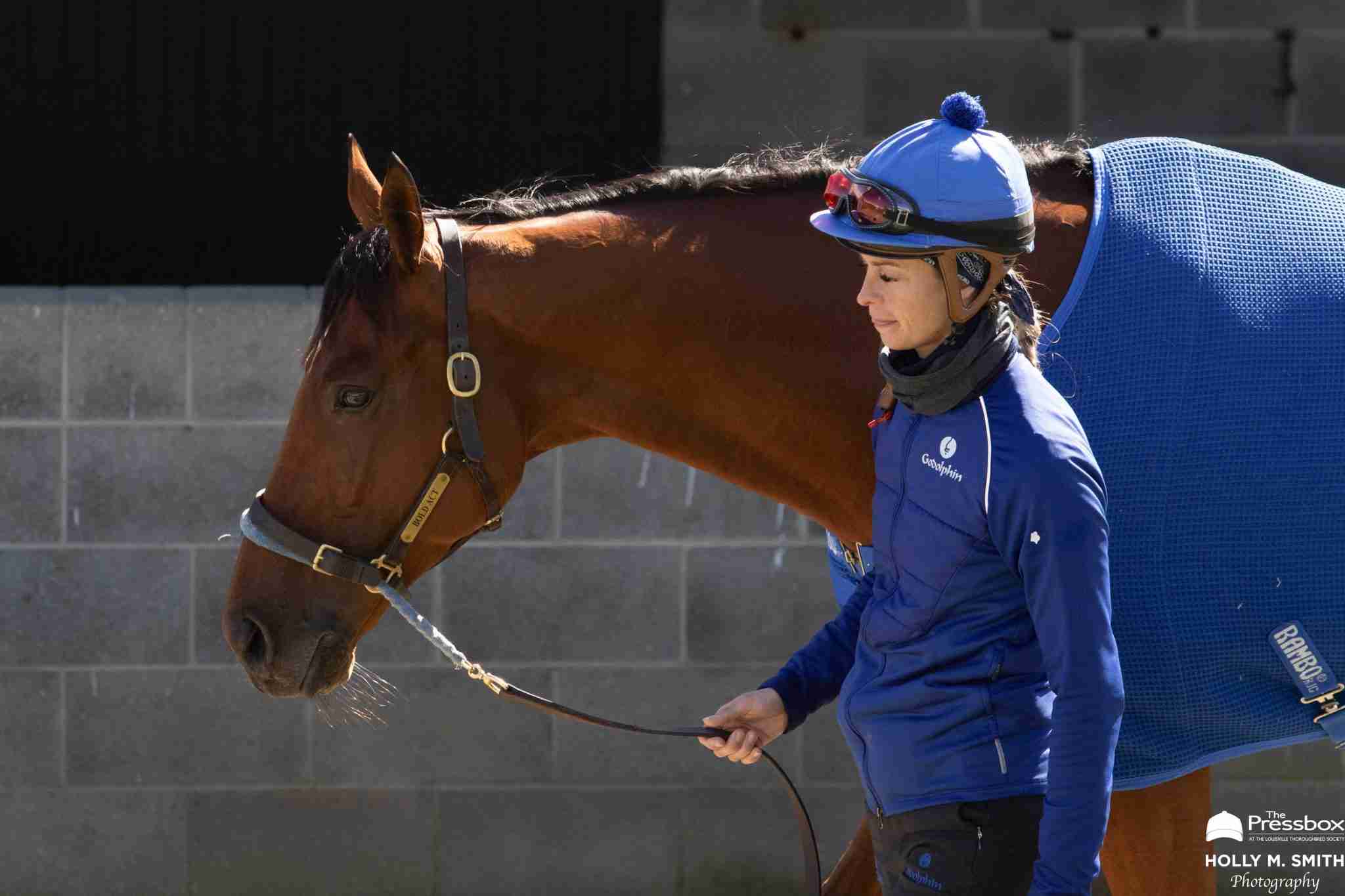 HMS_5677 bold act - The Pressbox