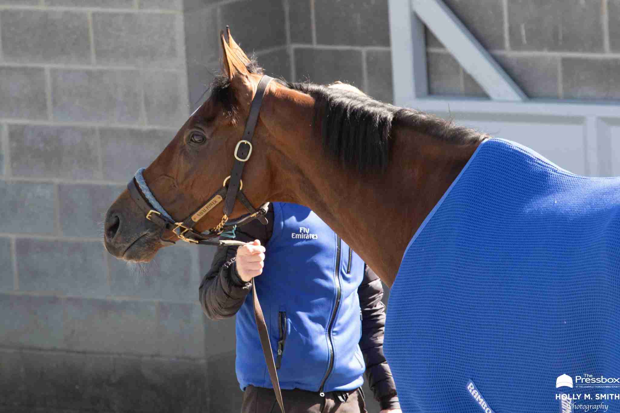 G1 Old Forrester Bourbon Turf Classic: Naval Power May Strike - The ...