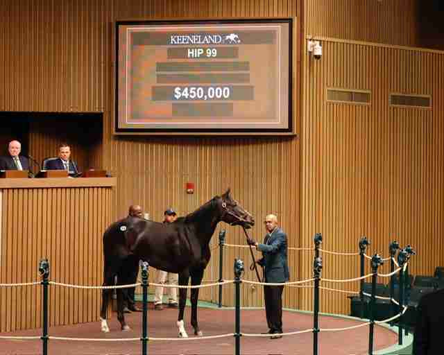Resolute Bloodstock Purchases Top Two at Keeneland's Horses of Racing ...