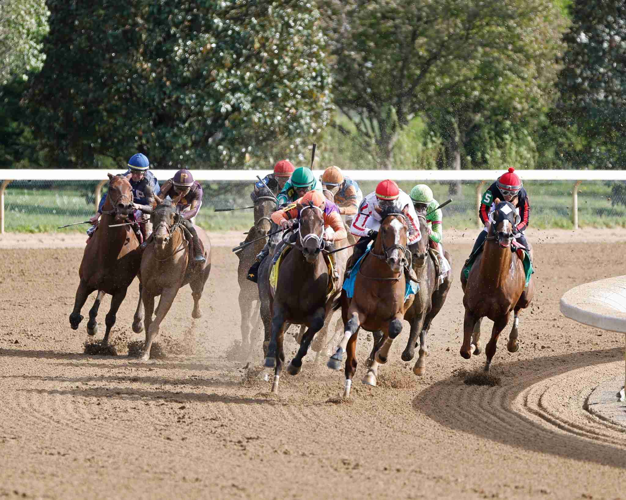 KINGSBARNS - The Ben Ali G3 - 93rd Running - 04-20-24 - R09 - Keeneland ...
