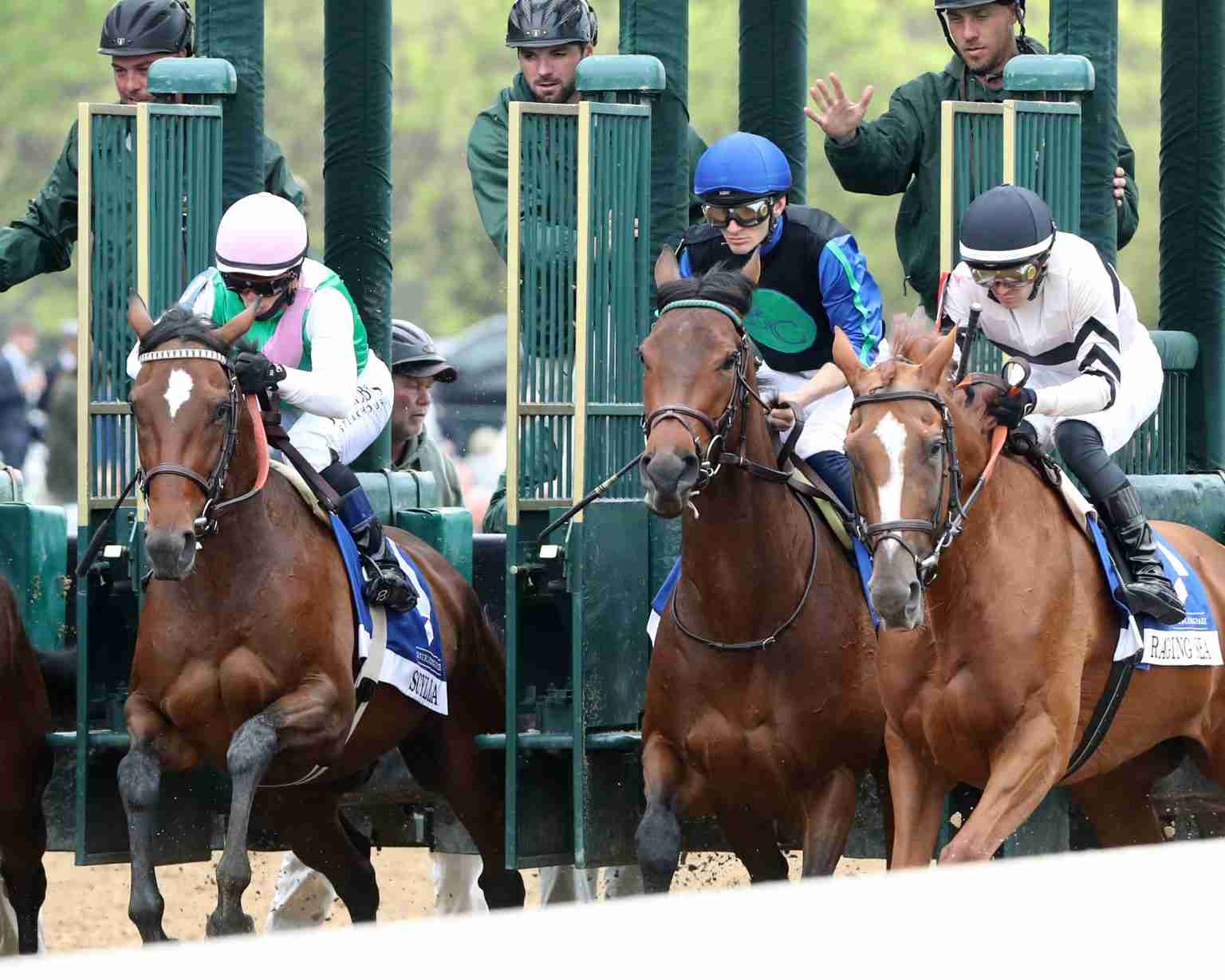 Notes, Quotes & Photos of G3 Doubledogdare Stakes: Raging Sea - The ...