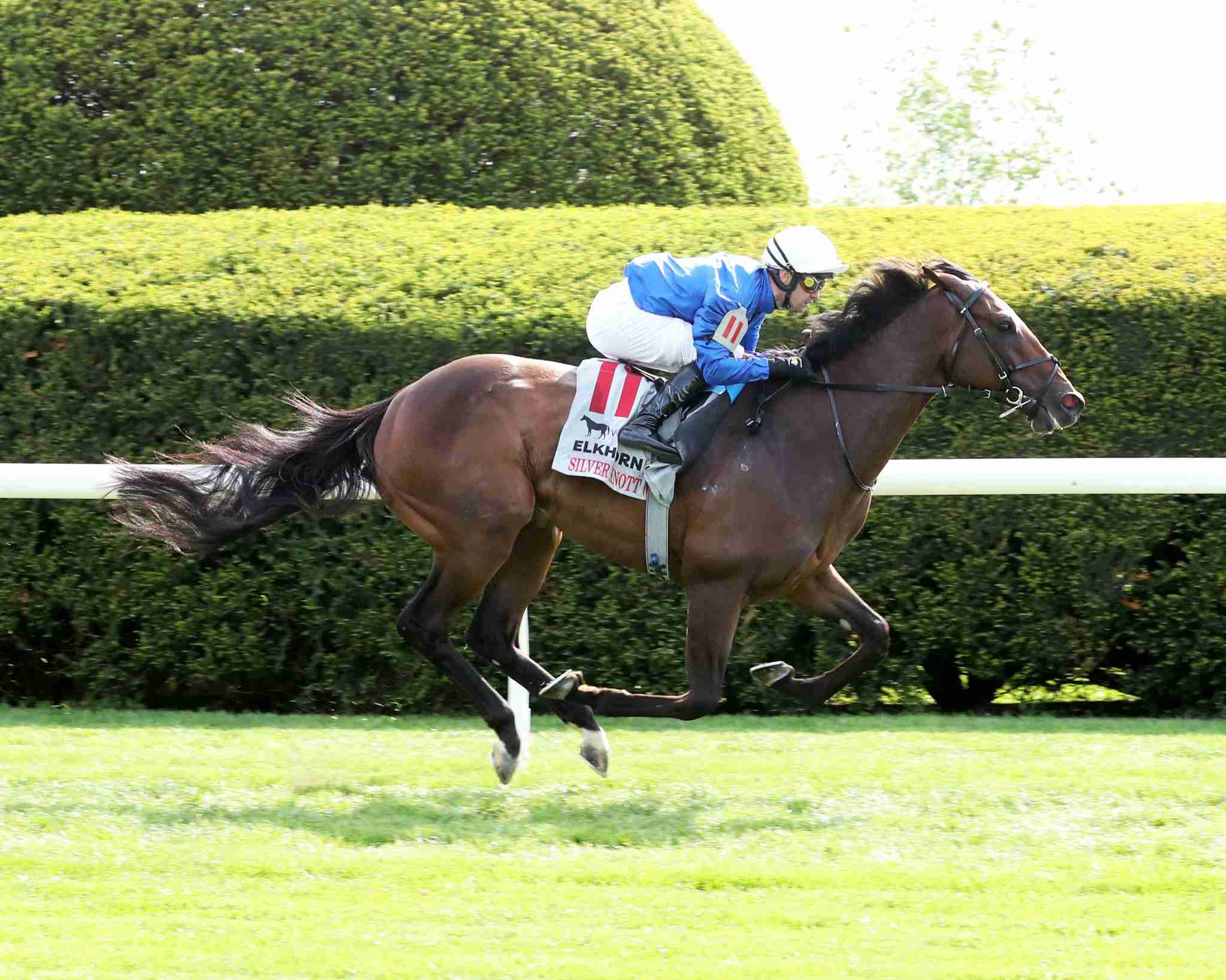 SILVER KNOTT - The VisitLex Elkhorn G2 - 39th Running - 04-20-24 - R08 ...