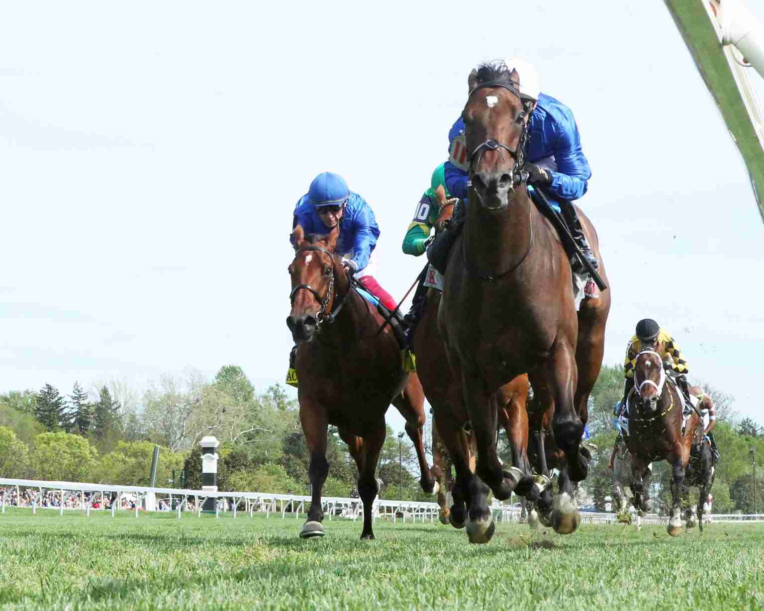 Keeneland Barn Notes: Silver Knott Is Golden in G2 Elkhorn - The Pressbox