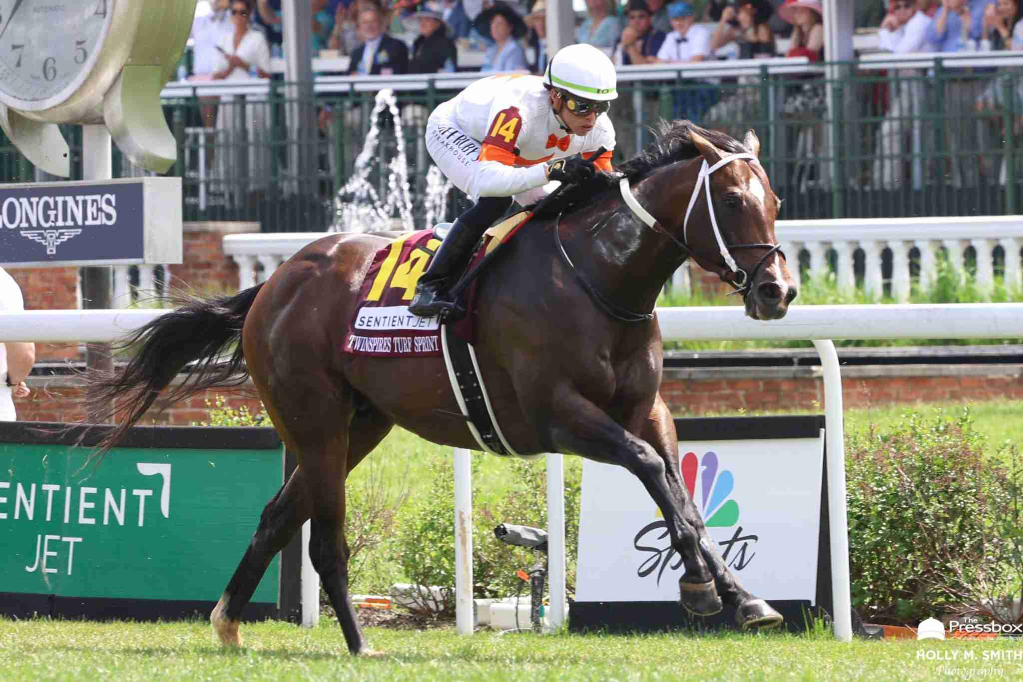 Notes, Quotes & Photos From G2 Twin Spires Stakes: Cogburn - The Pressbox