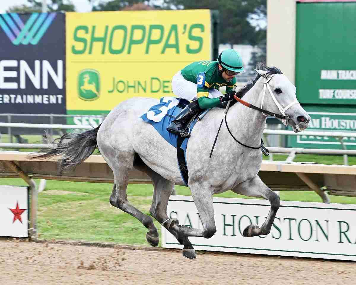 Lone Star Park Barn Notes: 5 Stakes on Tap This Saturday - The Pressbox