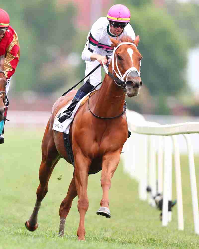 Ellis Park Barn Notes: Ova Charged Could Zap Foes in KY Downs Preview ...