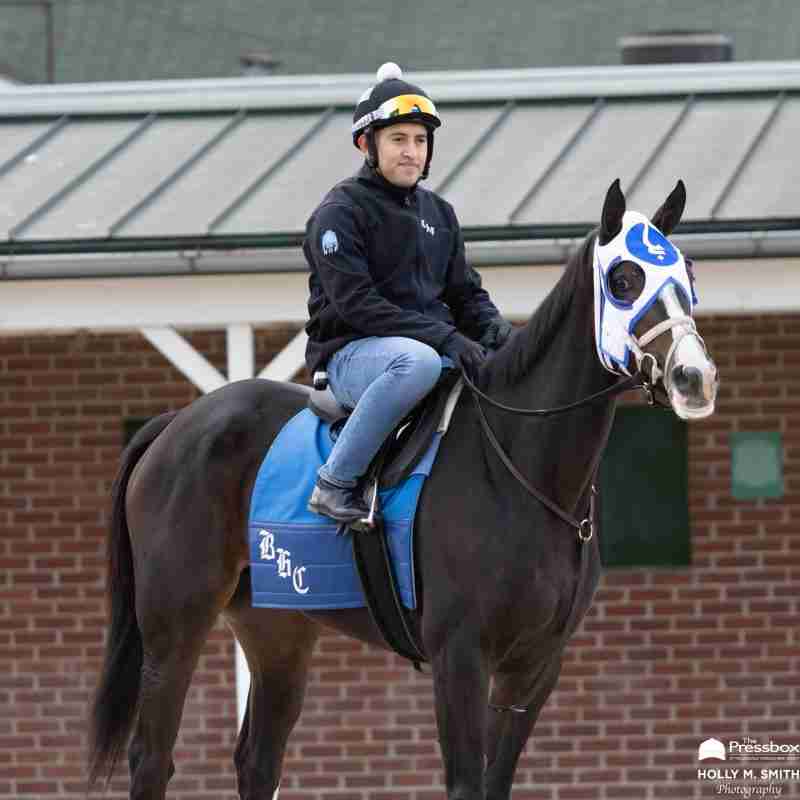 Fair Grounds' Rachel Alexandra Stakes Preview: Good Cheer Is Good Stuff ...