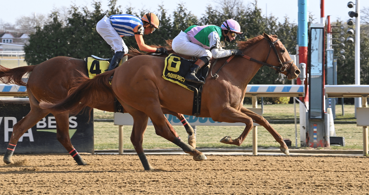 Aqueduct Barn Notes: Ramify Headlines Field for Saturday's Busanda ...