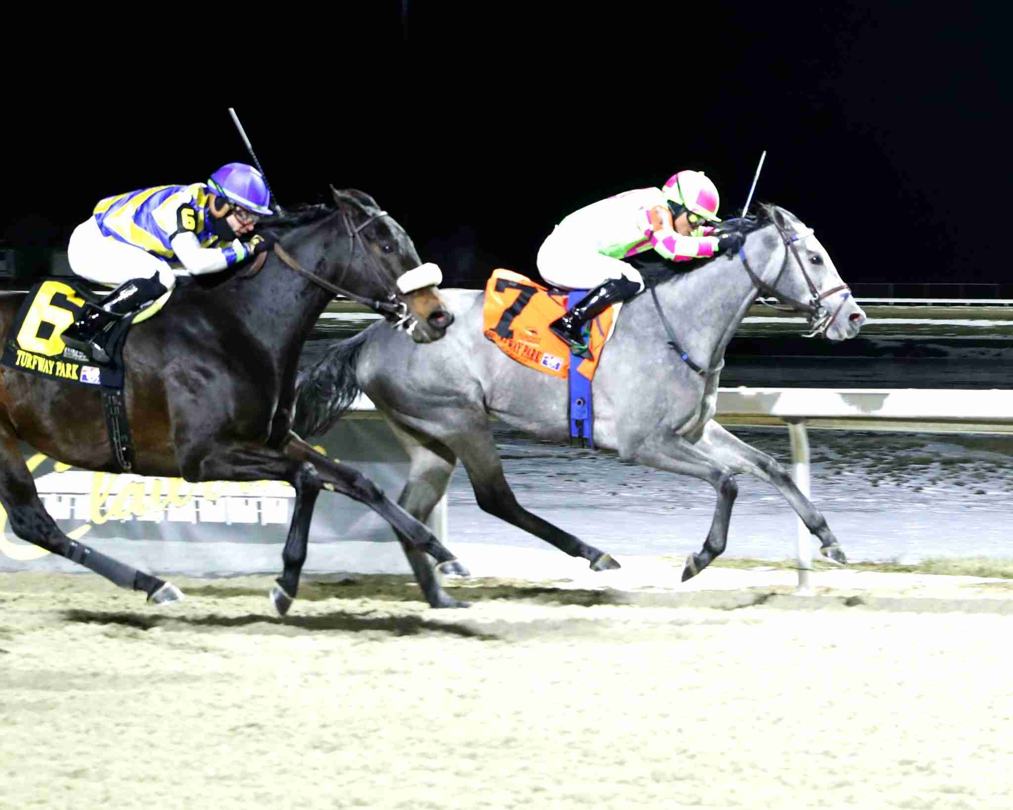 Turfway Park Barn Notes: Everland Returns in Wintergreen Stakes - The ...