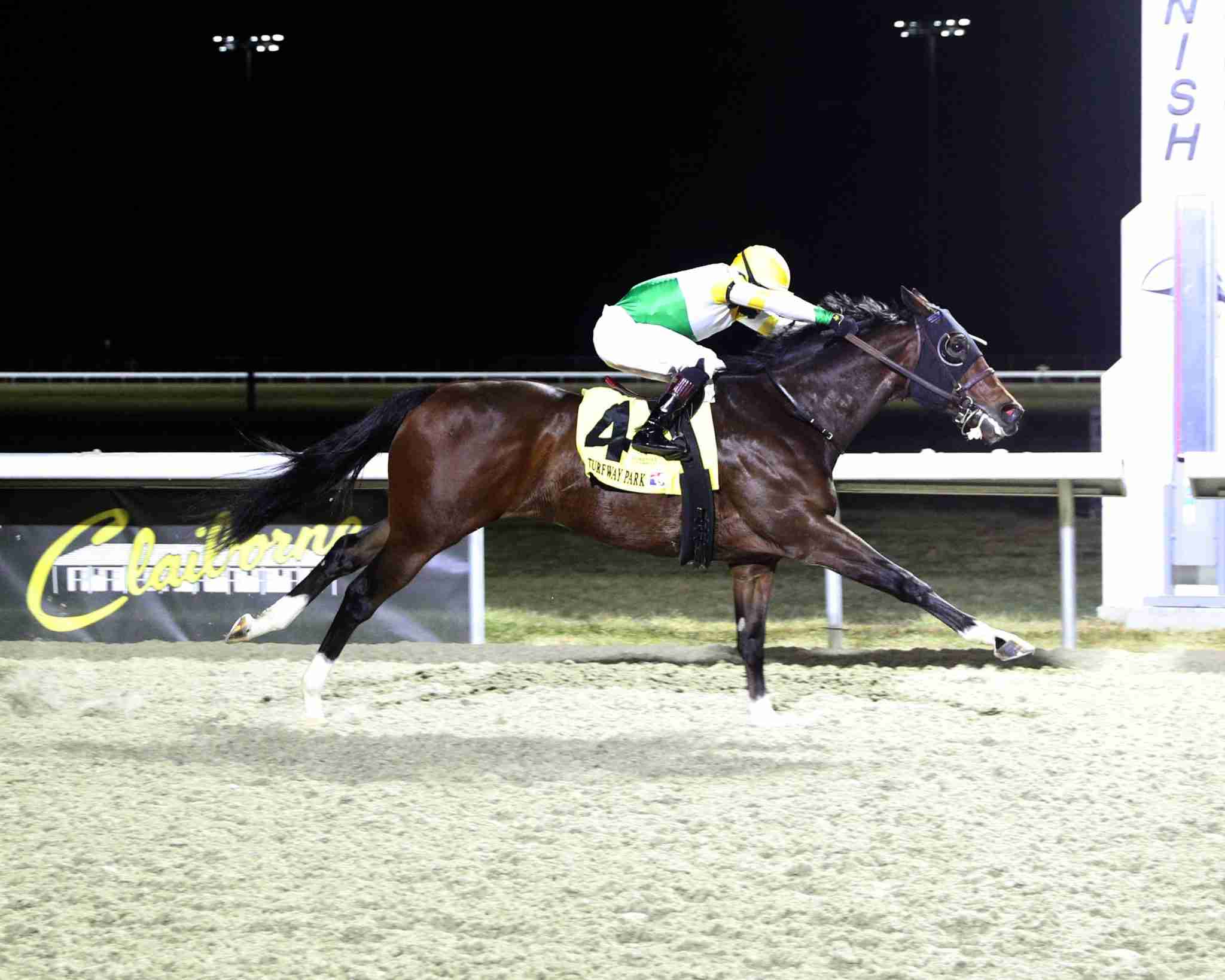 Notes & Quotes From the Forego Stakes: Playmea Tune - The Pressbox