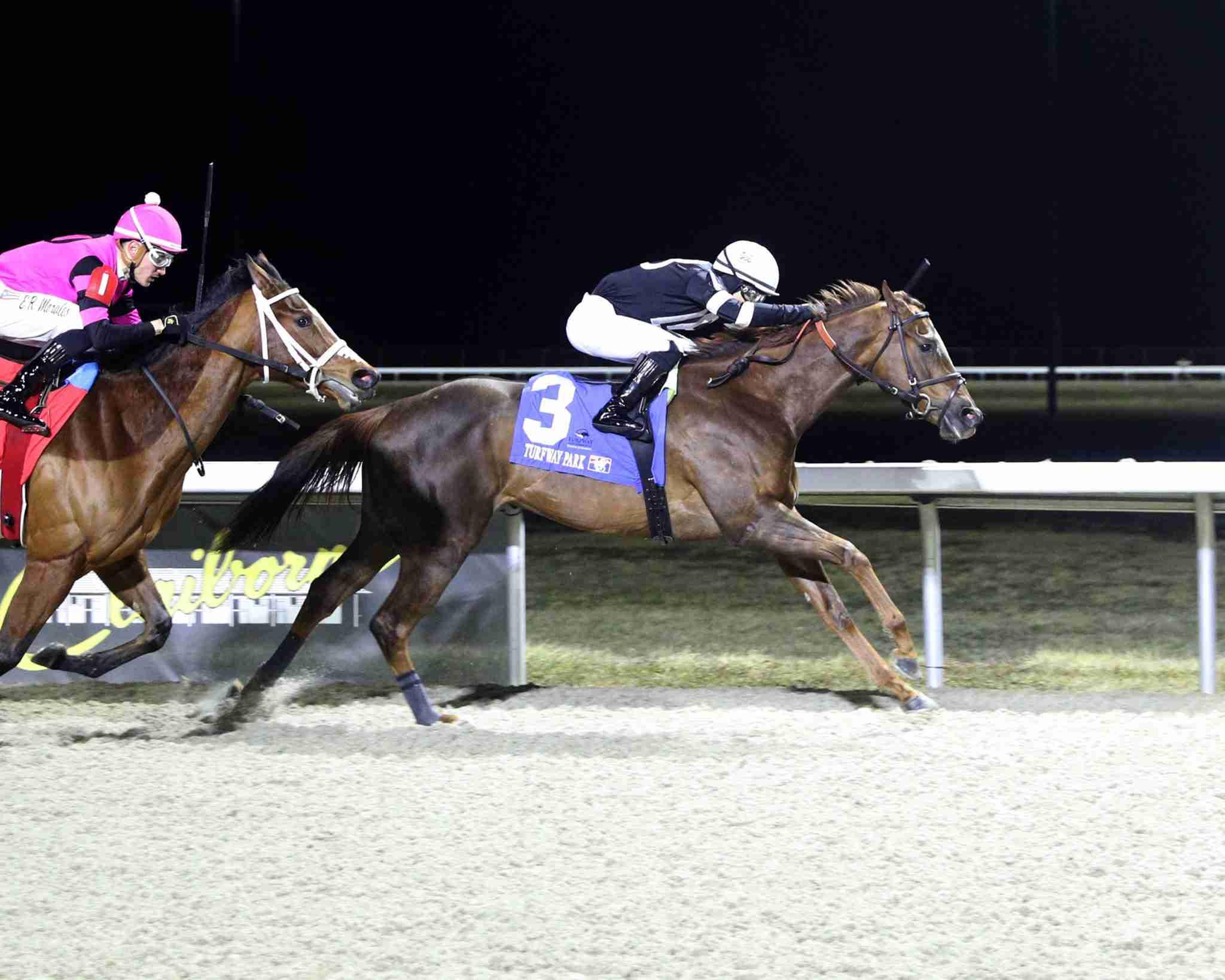 Turfway Park Barn Notes: Hollygrove Returns in Closing Day Stakes This ...