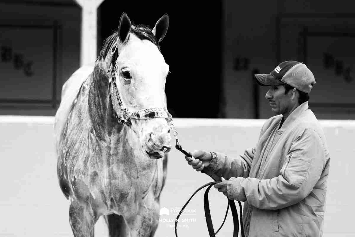Churchill Downs Barn Notes: Final Gambit Headlines Stellar Field for G3 ...