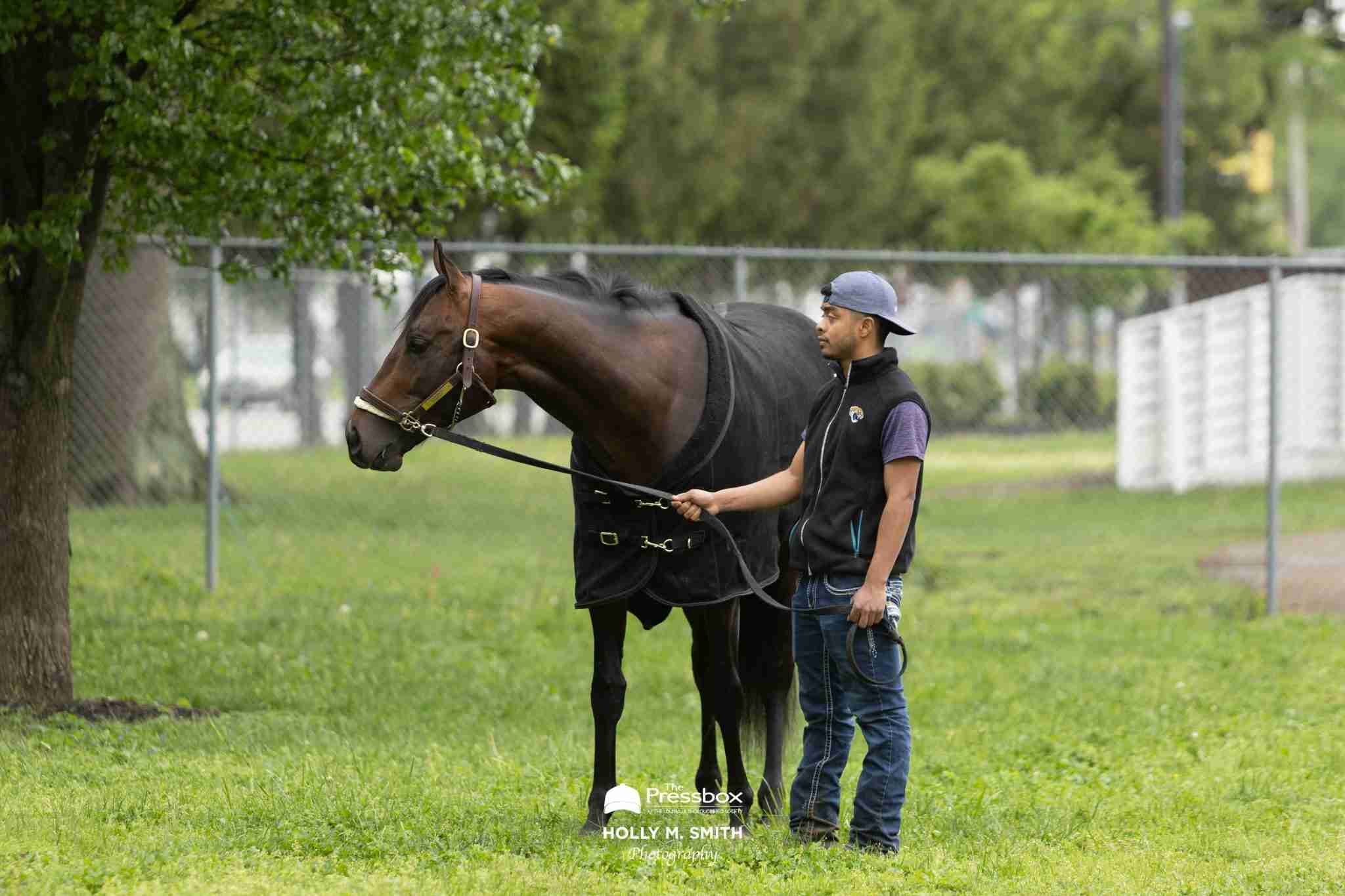 Churchill Downs' Barn Notes: Briley Hopes Coal Battle Gets Cleaner Trip ...