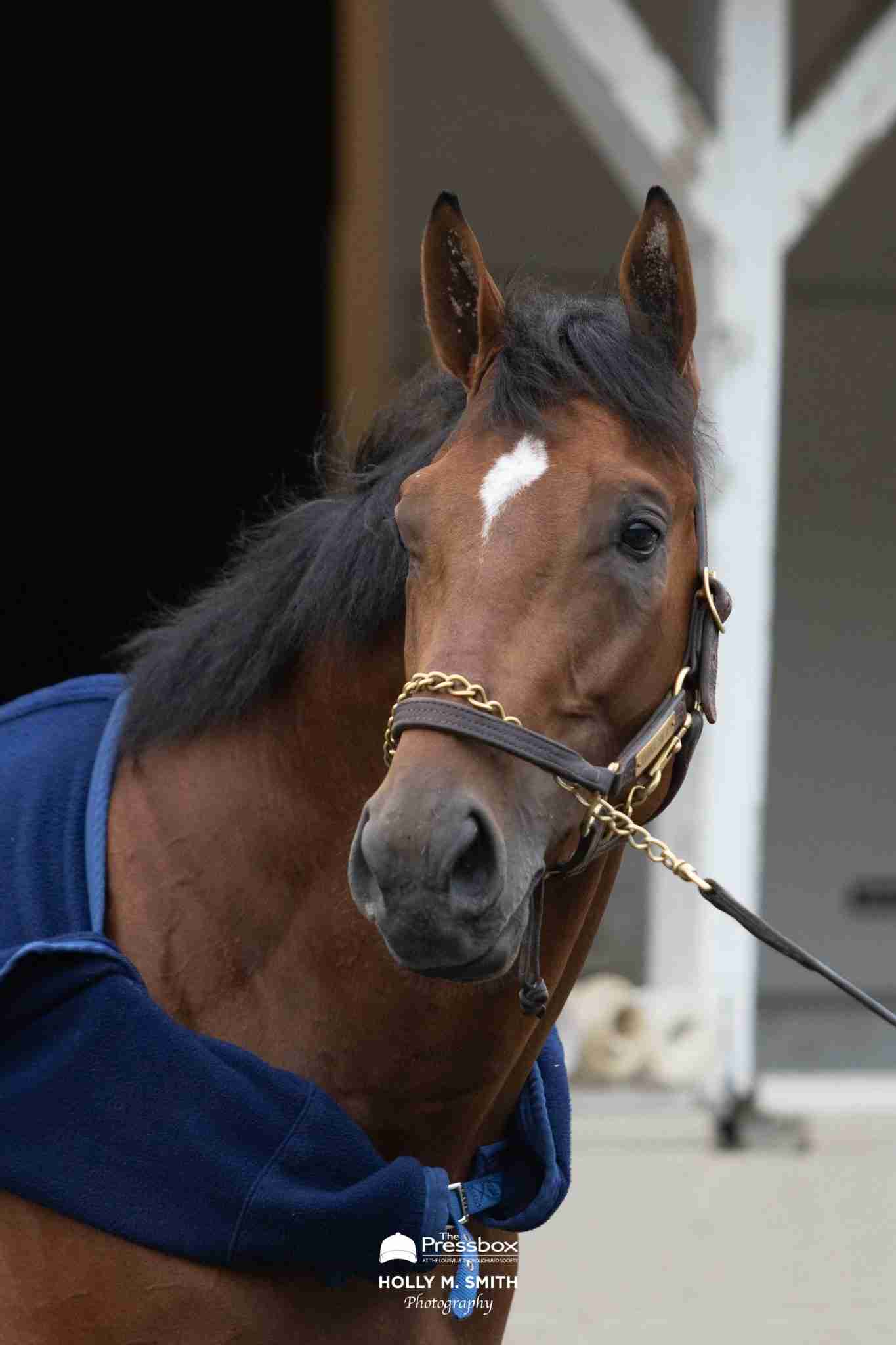 Preakness Stakes Updates: Journalism Arrives At Pimlico - The Pressbox