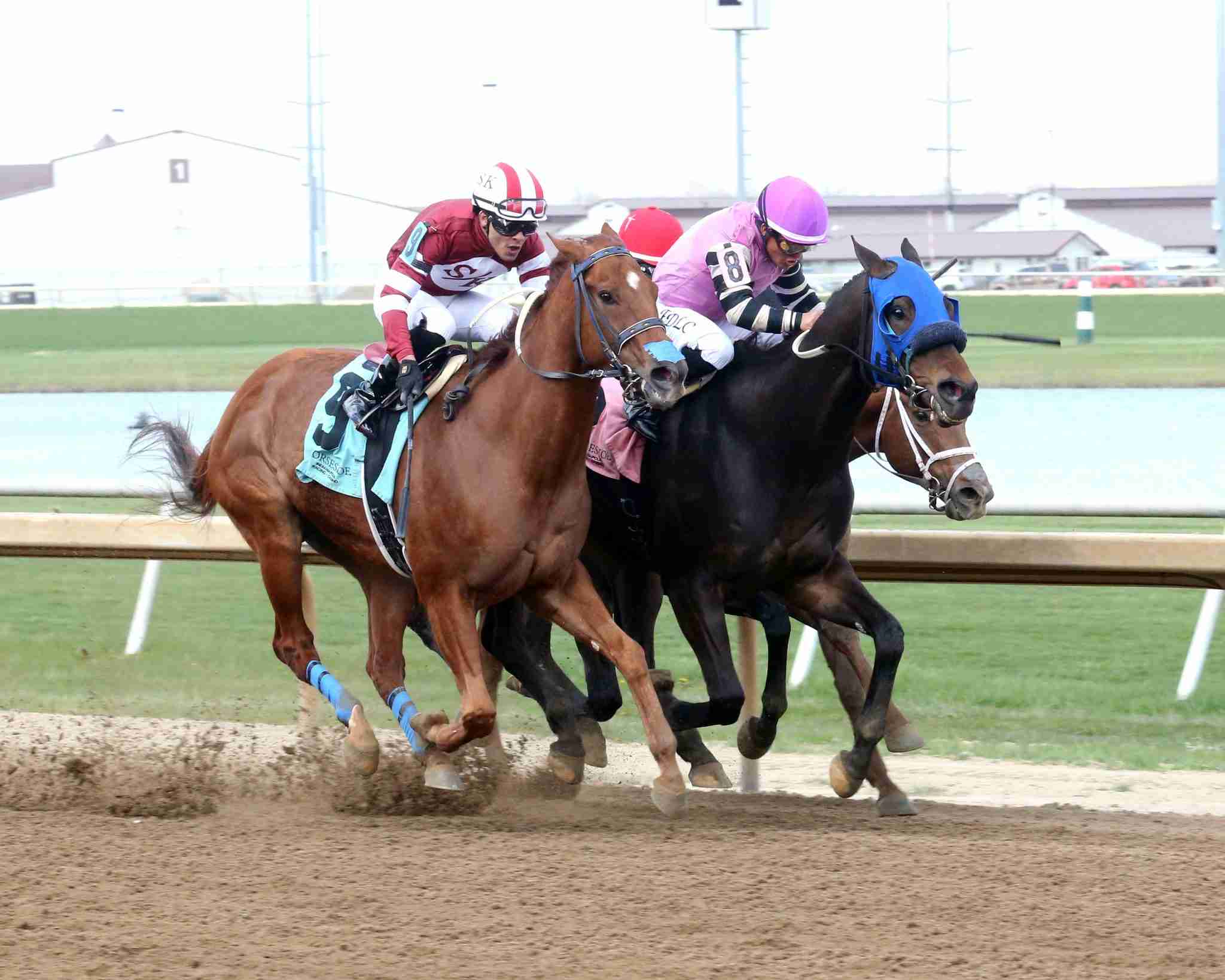 Notes, Quotes & Photos From Elmore Handicap: Win Me Over - The Pressbox