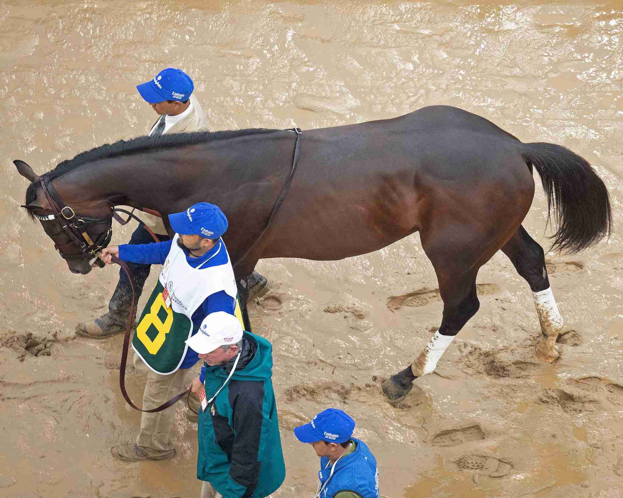 SOVEREIGNTY - The Kentucky Derby - 151st Running - 05-03-25 - R12 ...