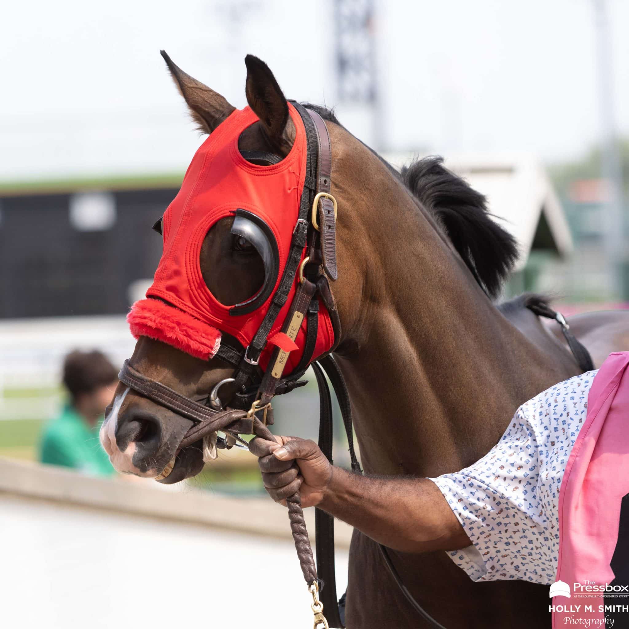 Ellis Park Barn Notes: Mercante Heads Field for KY Downs Turf Mile ...