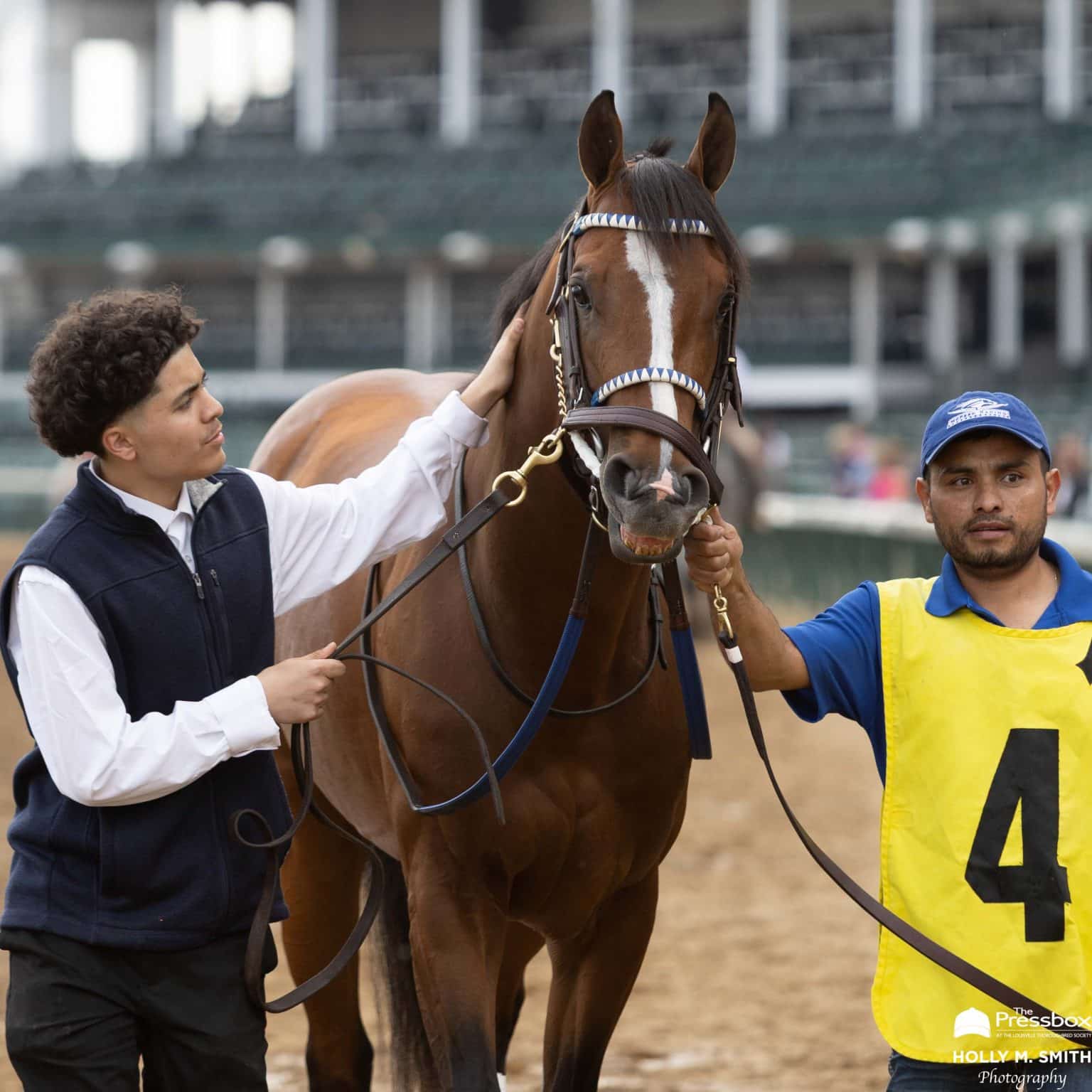 Colonial Downs Barn Notes: Mystik Dan May Make Turf Debut in Arlington ...