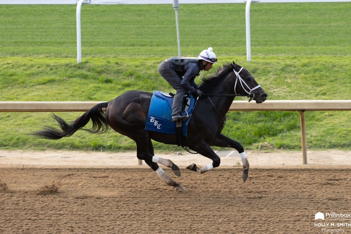 Turfway Park Barn Notes: Encino Returns in Dust Commander - The Pressbox
