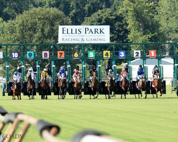Ellis Park Barn Notes: Ellis Park Derby Highlights Huge, "4-Day Weekend ...