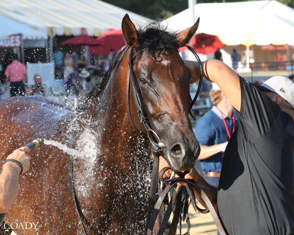 KY Downs' Upcoming Stakes: Fort Washington Returns in KY Turf Cup - The ...