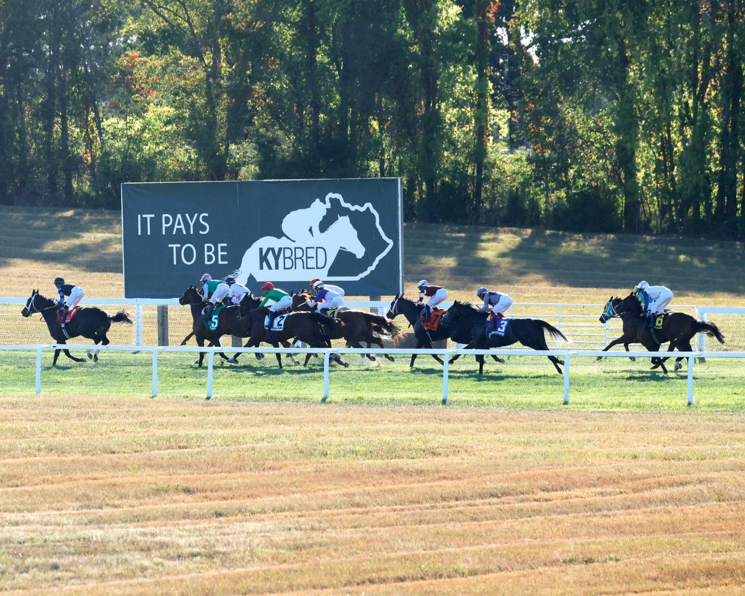 Notes, Quotes & Photos of Ladies Turf: Special Wan - The Pressbox