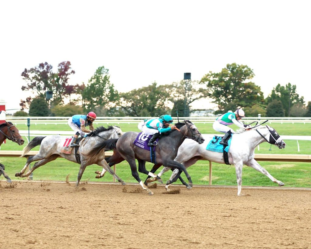 HIT SHOW - The Hagyard Fayette G3 - 10-25-25 - R09 - Keeneland Race ...