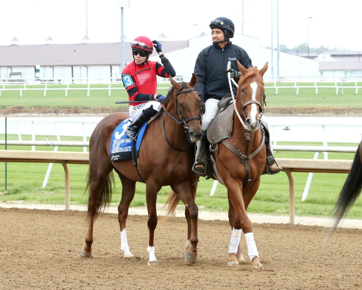Notes & Quotes From the Lady Fog Horn Stakes at Horseshoe Indianapolis ...