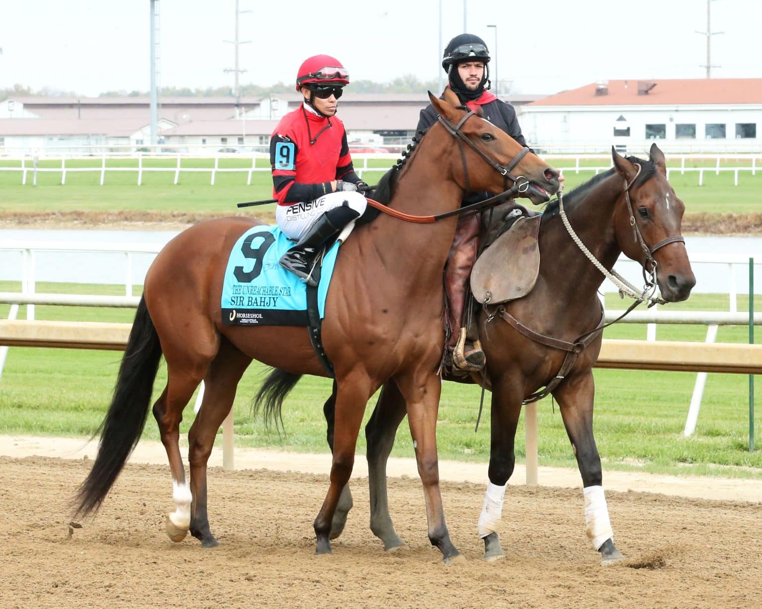 SIR BAHJY - Unreachable Star - 6th Running - 10-25-25 - R07 - Horseshoe ...