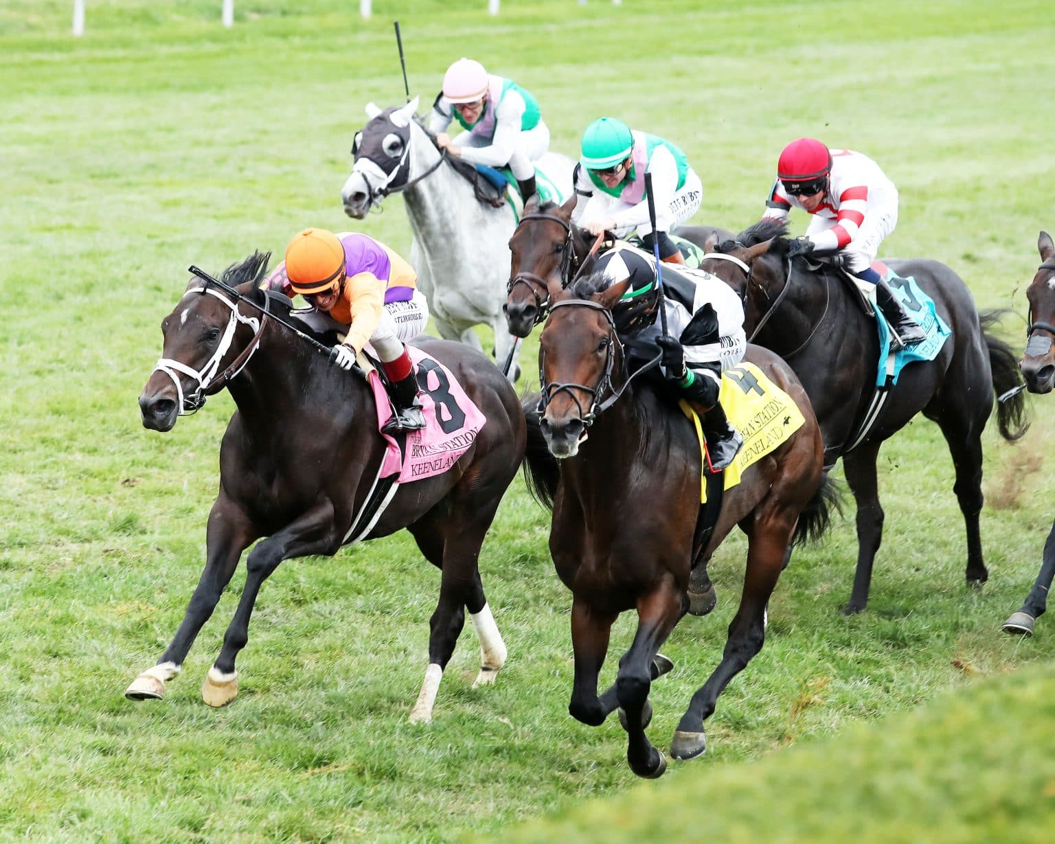 TROUBLESHOOTING - The Bryan Station G3 - 10-25-25 - R08 - Keeneland Race Course - Inside Finish ...