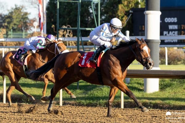 Soaring Softly Stakes Preview: Slay the Day May Have Her Way - The Pressbox