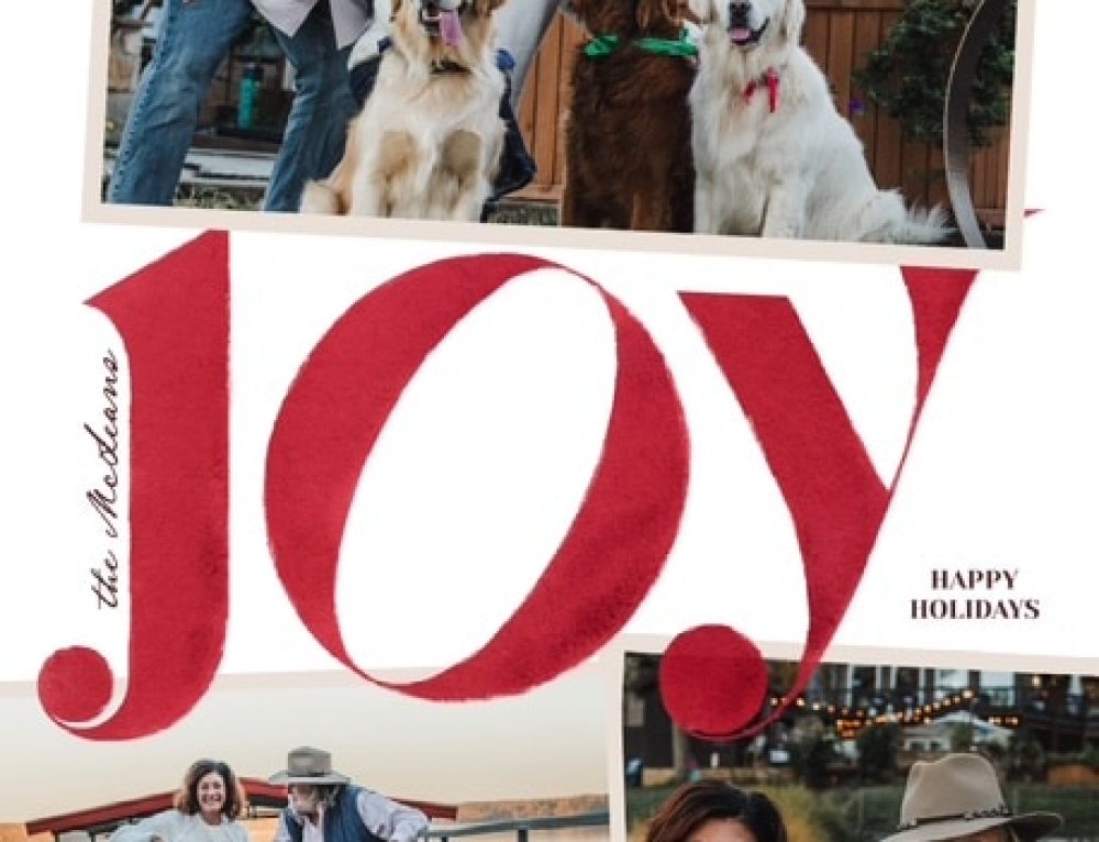 Ellis Park Barn Notes: KY Downs Preview Weekend Features 7 Stakes Worth ...