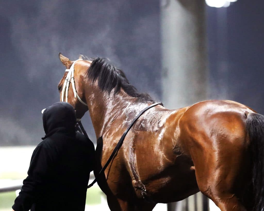 Turfway Park Moves Synthetic Championships to Dec. 21 - The Pressbox