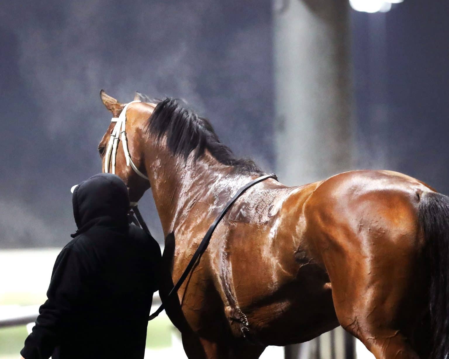 Turfway Park Moves Synthetic Championships to Dec. 21 - The Pressbox
