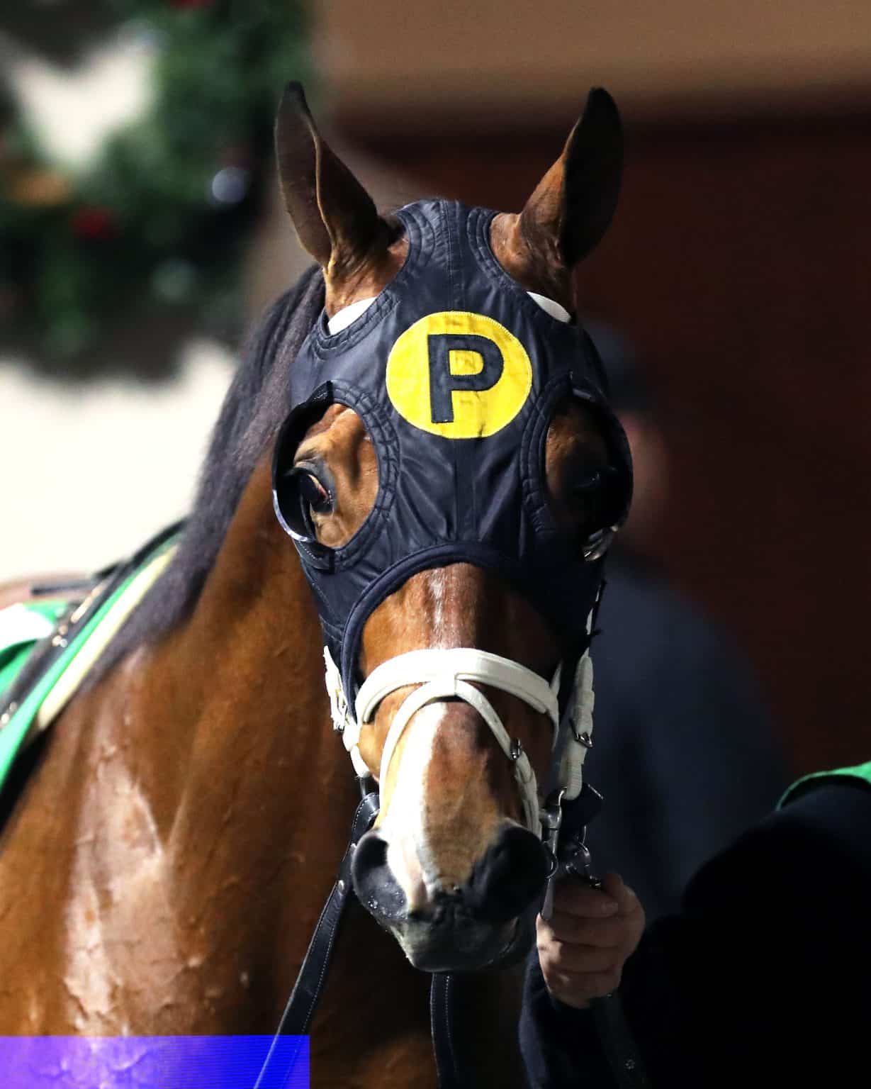 Turfway Park Holiday Meet - The Pressbox