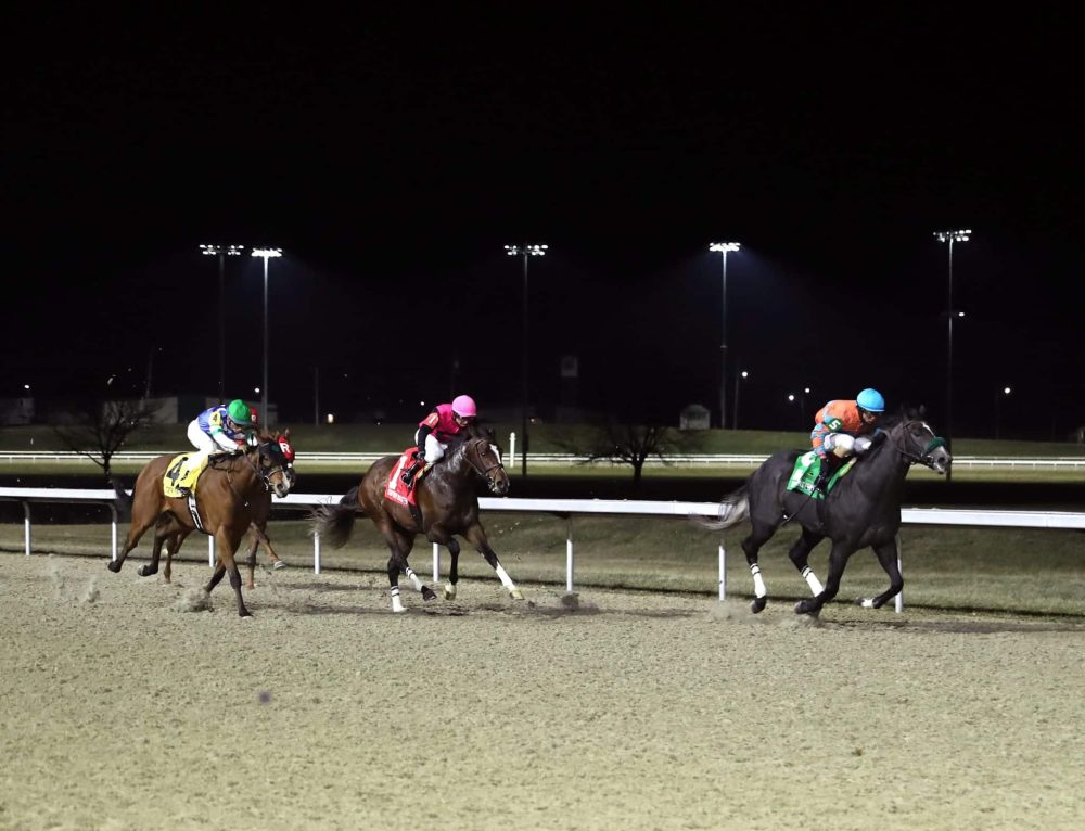 Turfway Park Barn Notes: Breeders' Cup Winner Nobals Returns to ...