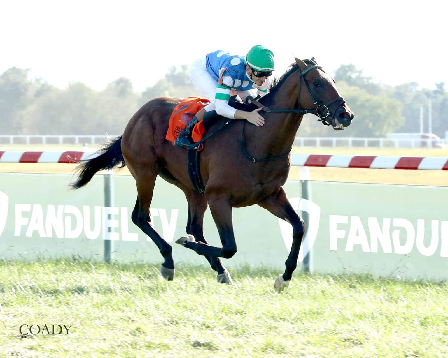 Turfway Park Barn Notes: Street Beast Begins '26 In Leonatus Stakes ...