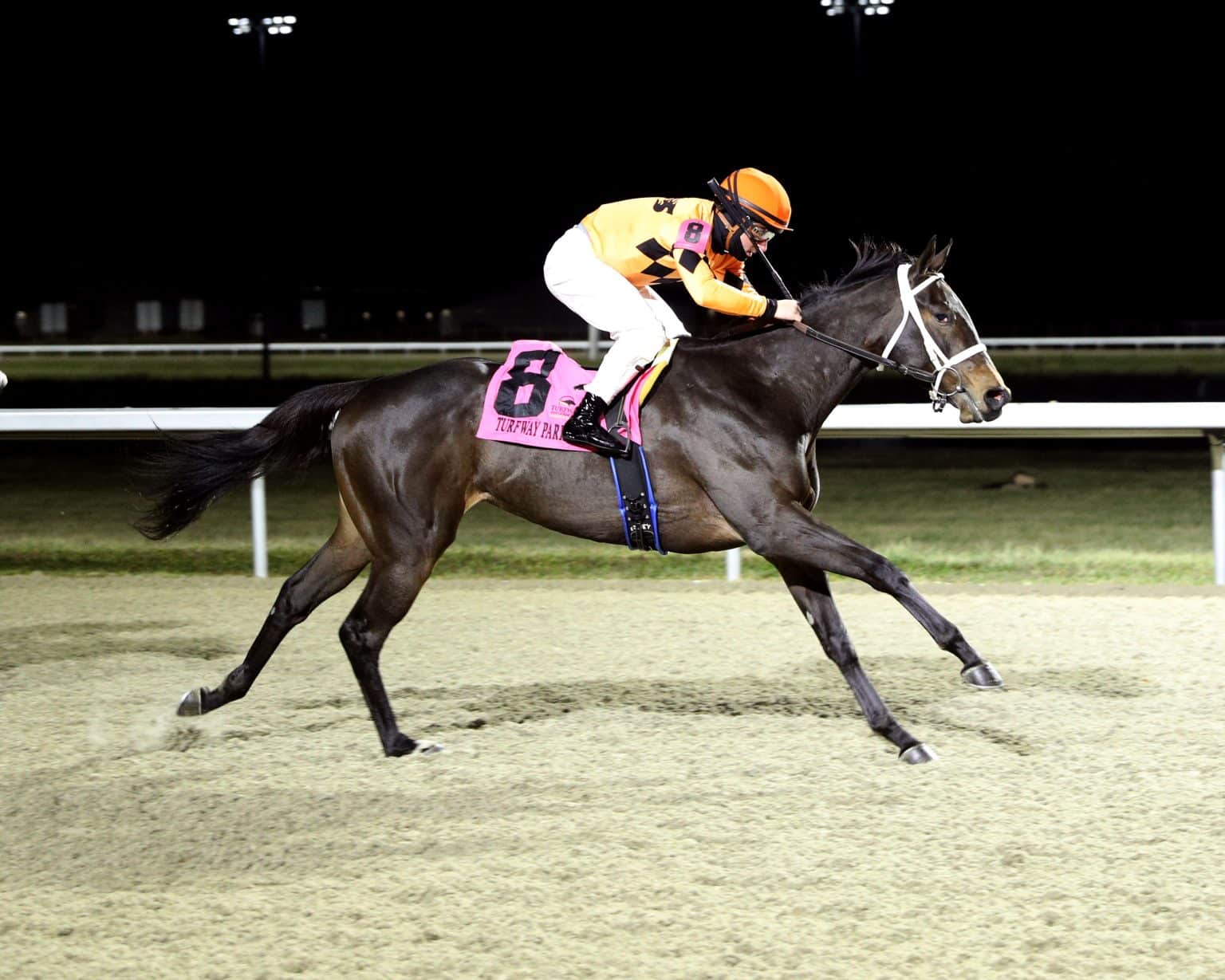 Turfway Park Barn Notes II: Map of the Moon Headline's Friday's ...