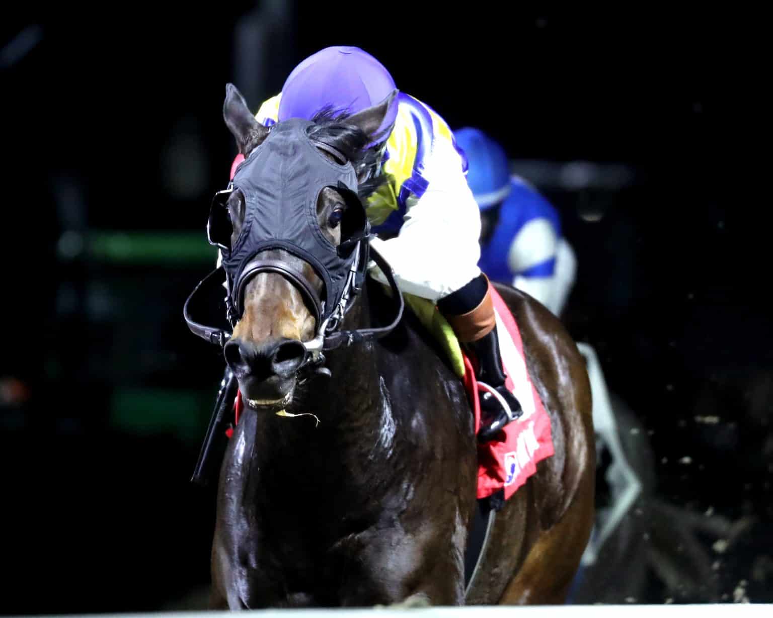 Turfway Park Barn Notes II: Top Stakes Add Fire to Saturday's Jeff Ruby ...