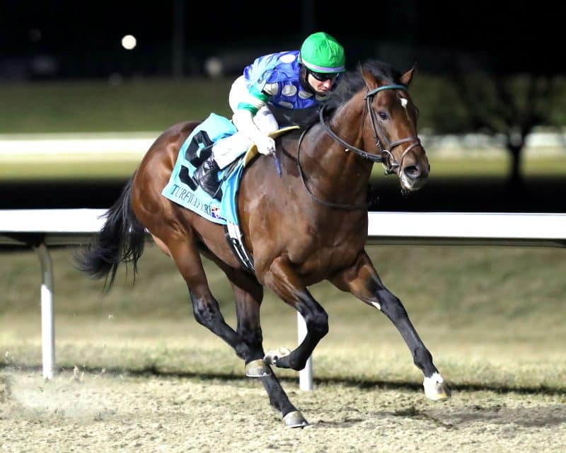 "Road to Kentucky Derby:" Ready for Another Turn? This Week Is John ...