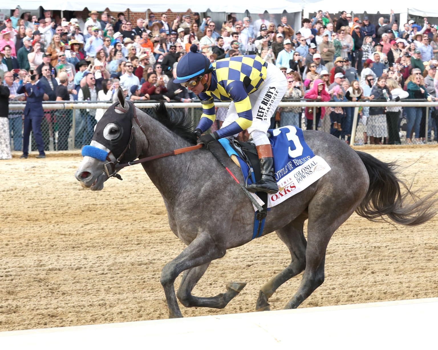 Virginia Derby Day at Colonial Downs: Through The Eyes & Lens(es) of ...