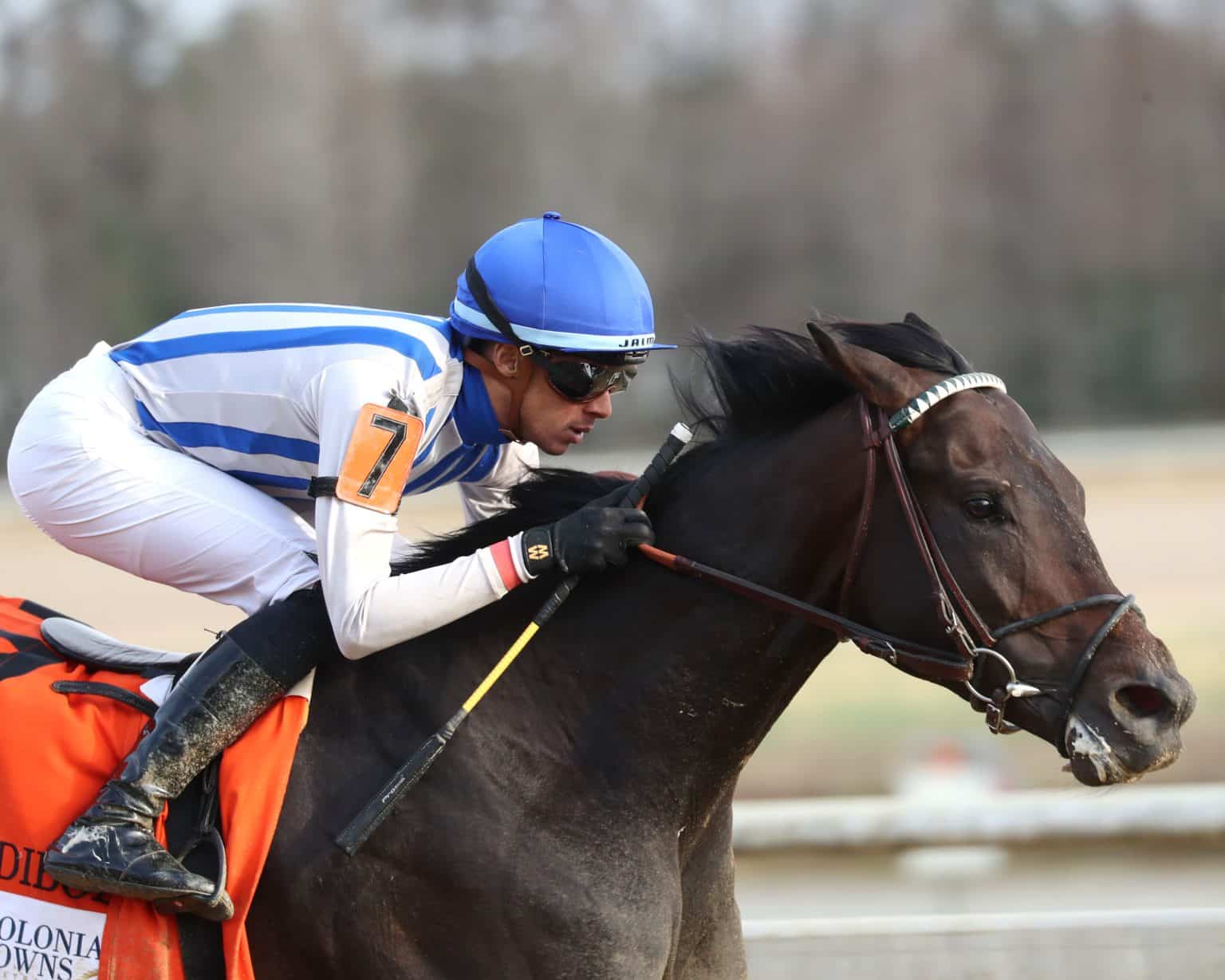 Virginia Derby Day at Colonial Downs: Through The Eyes & Lens(es) of ...