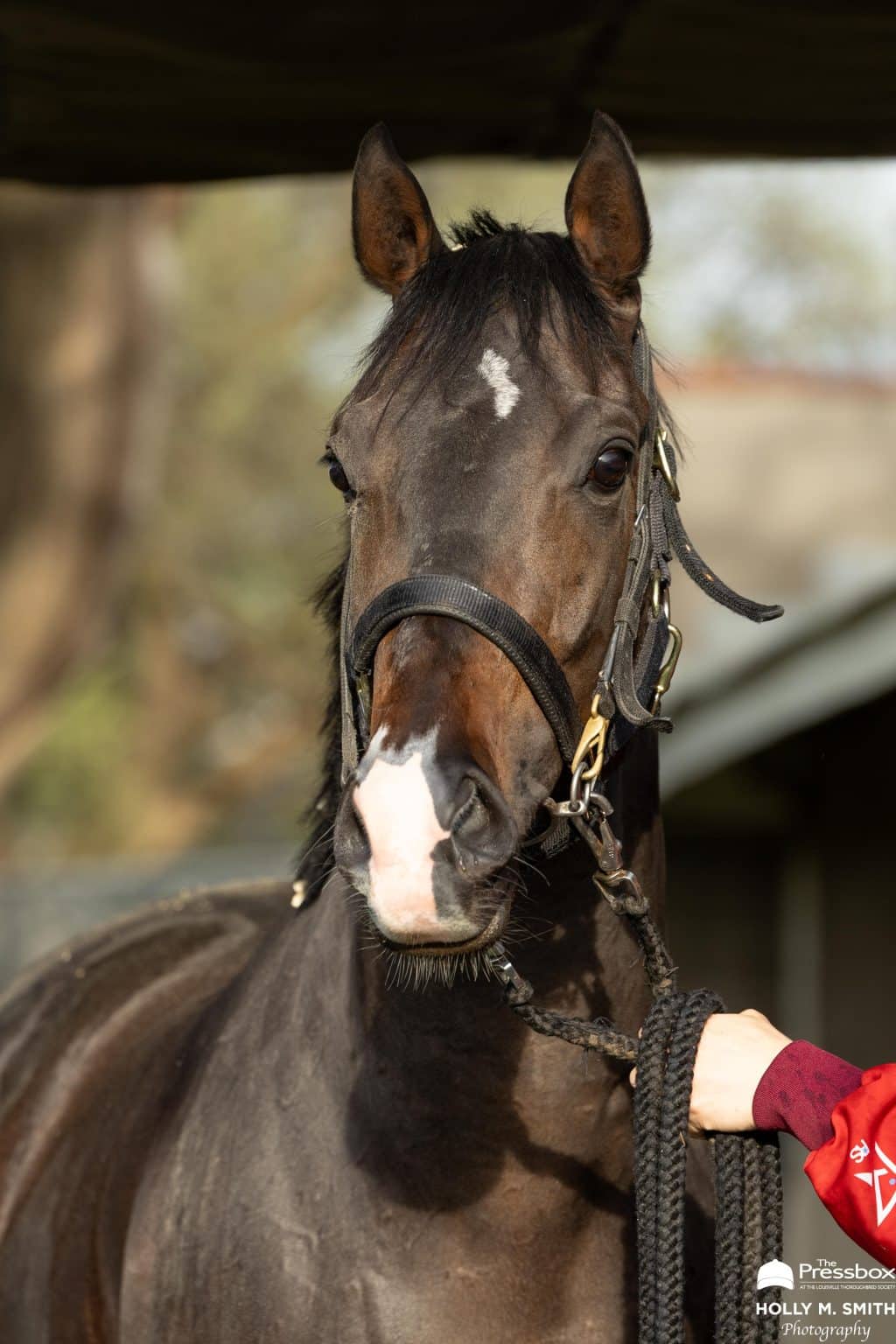 A Weekend Worth of Looks at Churchill Downs & Oaks/Derby Hopefuls ...