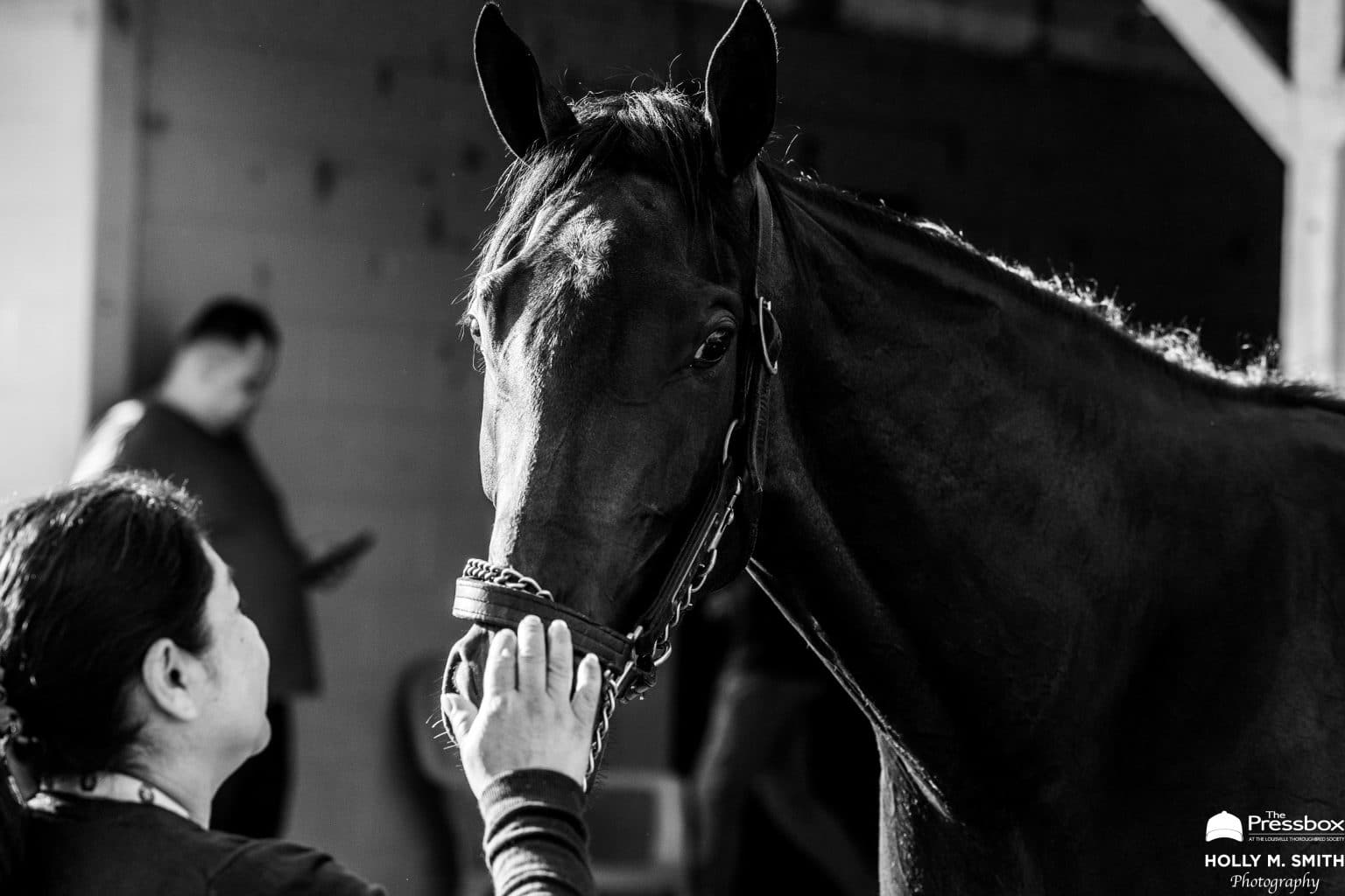 A Weekend of Kentucky Derby & Oaks Horse Watching: Through the Eyes ...