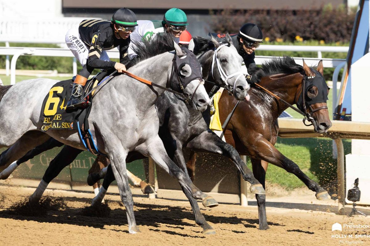 Stephen Foster Preview Day's Stakes Recaps: Original Sin Captures G3 ...