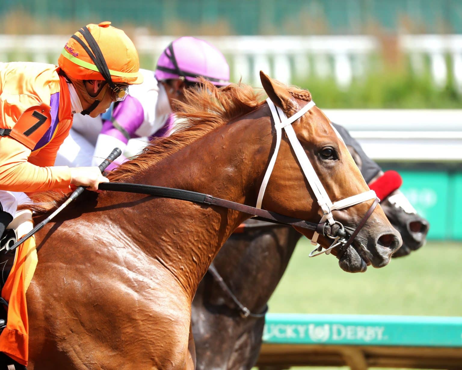 Notes, Quotes & Photos From G3 Matt Winn Stakes: Further Ado - The Pressbox